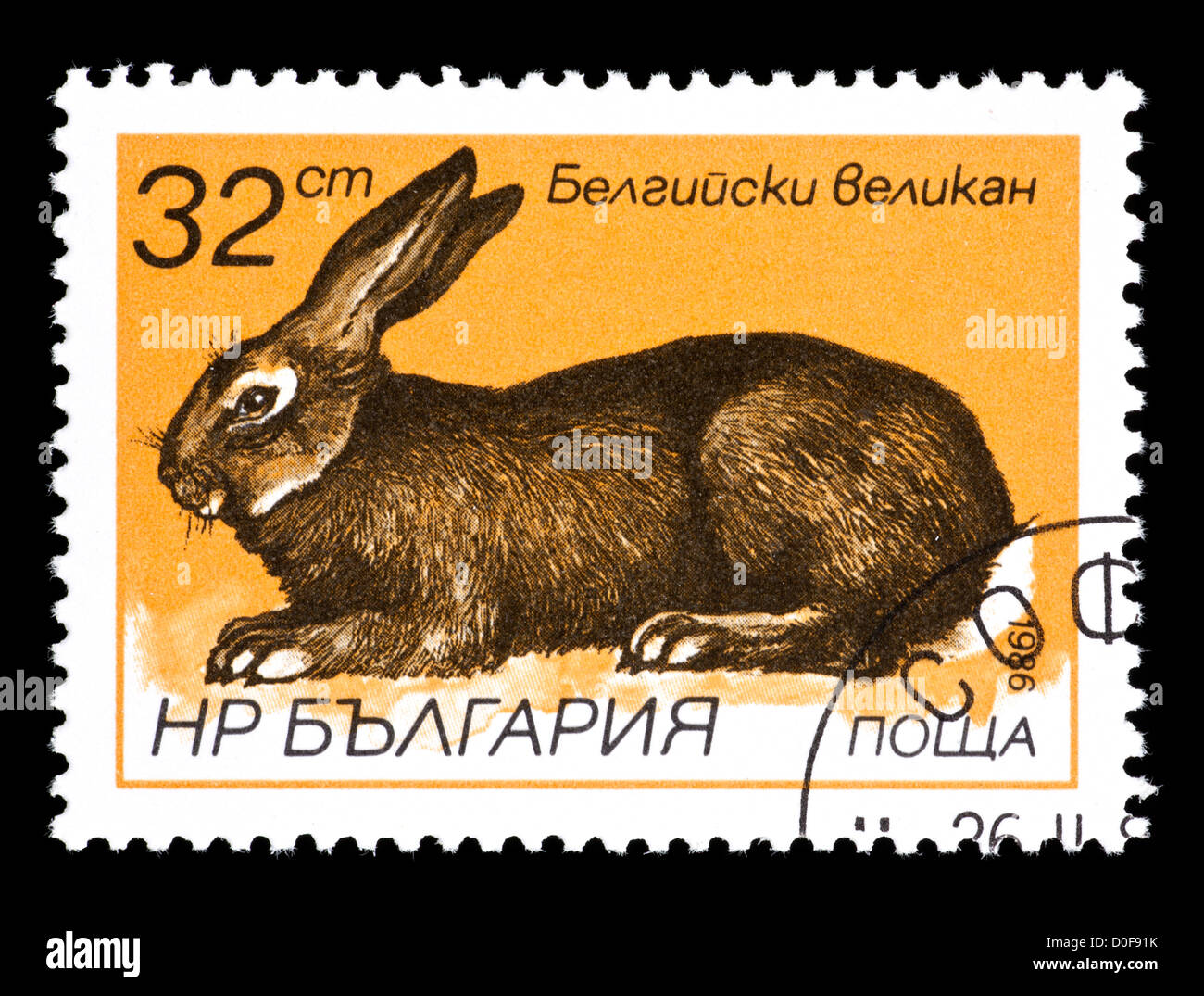Postage stamp from Bulgaria depicting a rabbit Stock Photo - Alamy