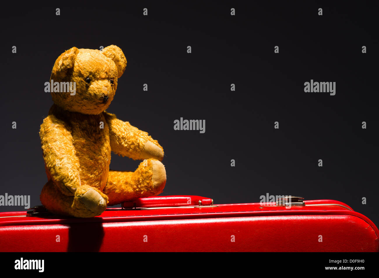 Little teddy bear big hi-res stock photography and images - Alamy