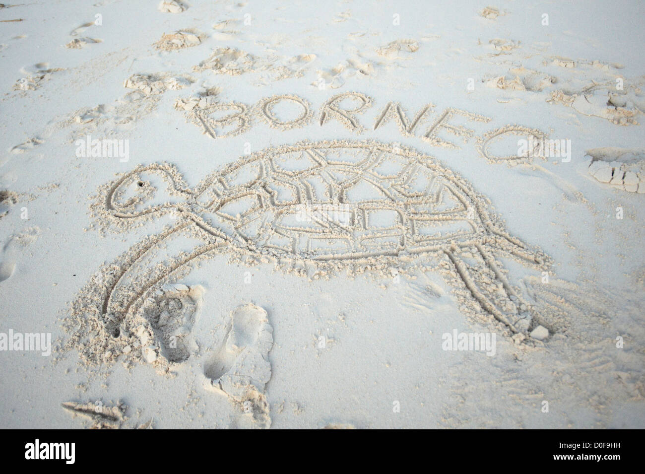 'Turtle Island' written in sand, with drawing of turtle on Selingan ...