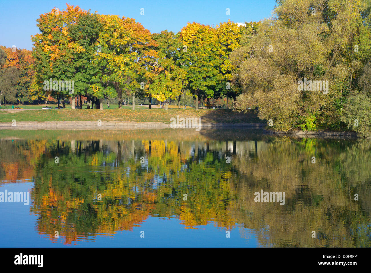 Foundation of the tree of gold hi-res stock photography and images - Alamy
