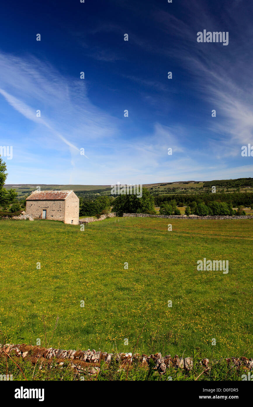 Summer, West Witton Moor overlooking West Witton village, Yorkshire ...