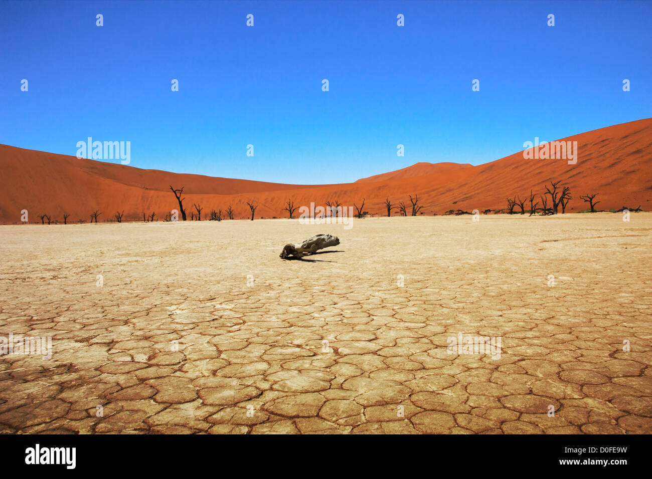 Death Vlei salt lake in Namibia with its cracked ground Stock Photo - Alamy