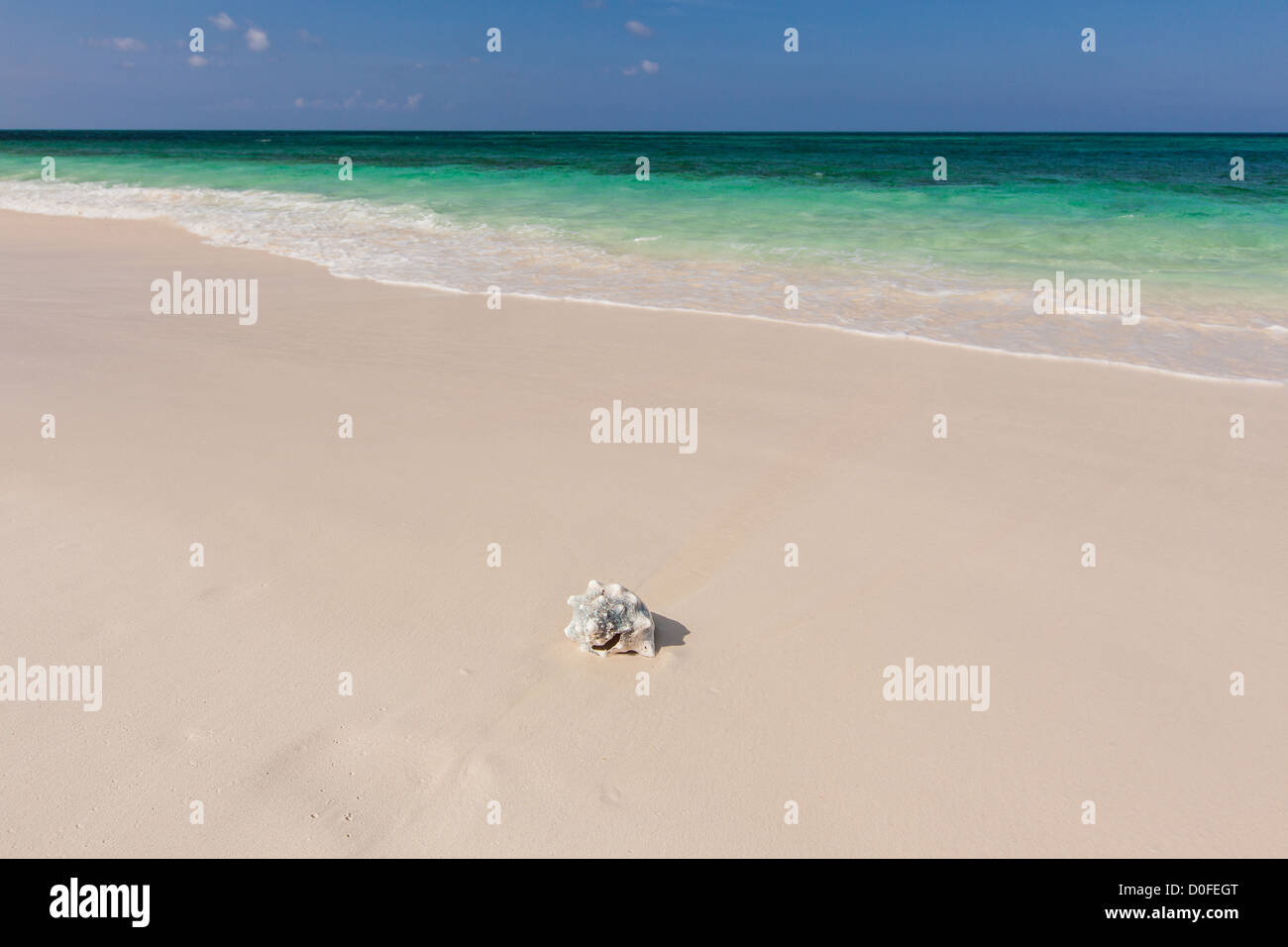 Ocean Beach on Bita Bay on Green Turtle Cay, Bahamas Stock Photo - Alamy