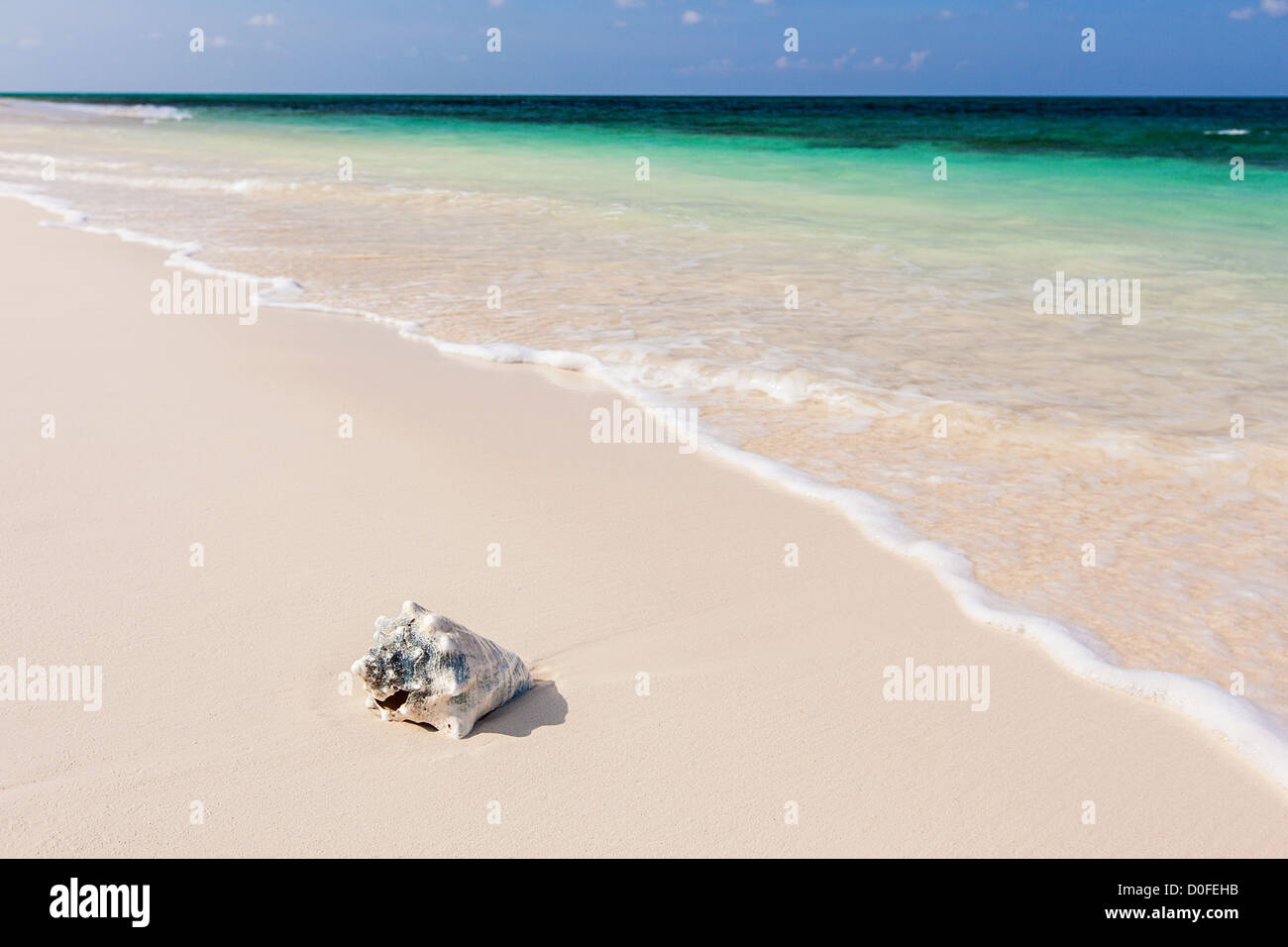 Ocean Beach on Bita Bay on Green Turtle Cay, Bahamas Stock Photo - Alamy