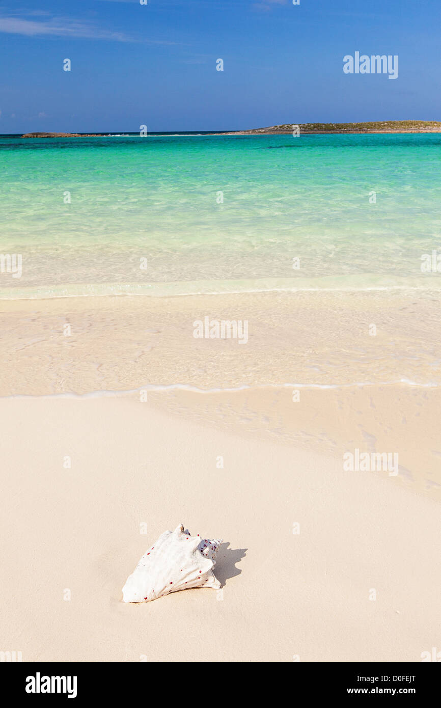 Ocean Beach on Bita Bay on Green Turtle Cay, Bahamas Stock Photo - Alamy
