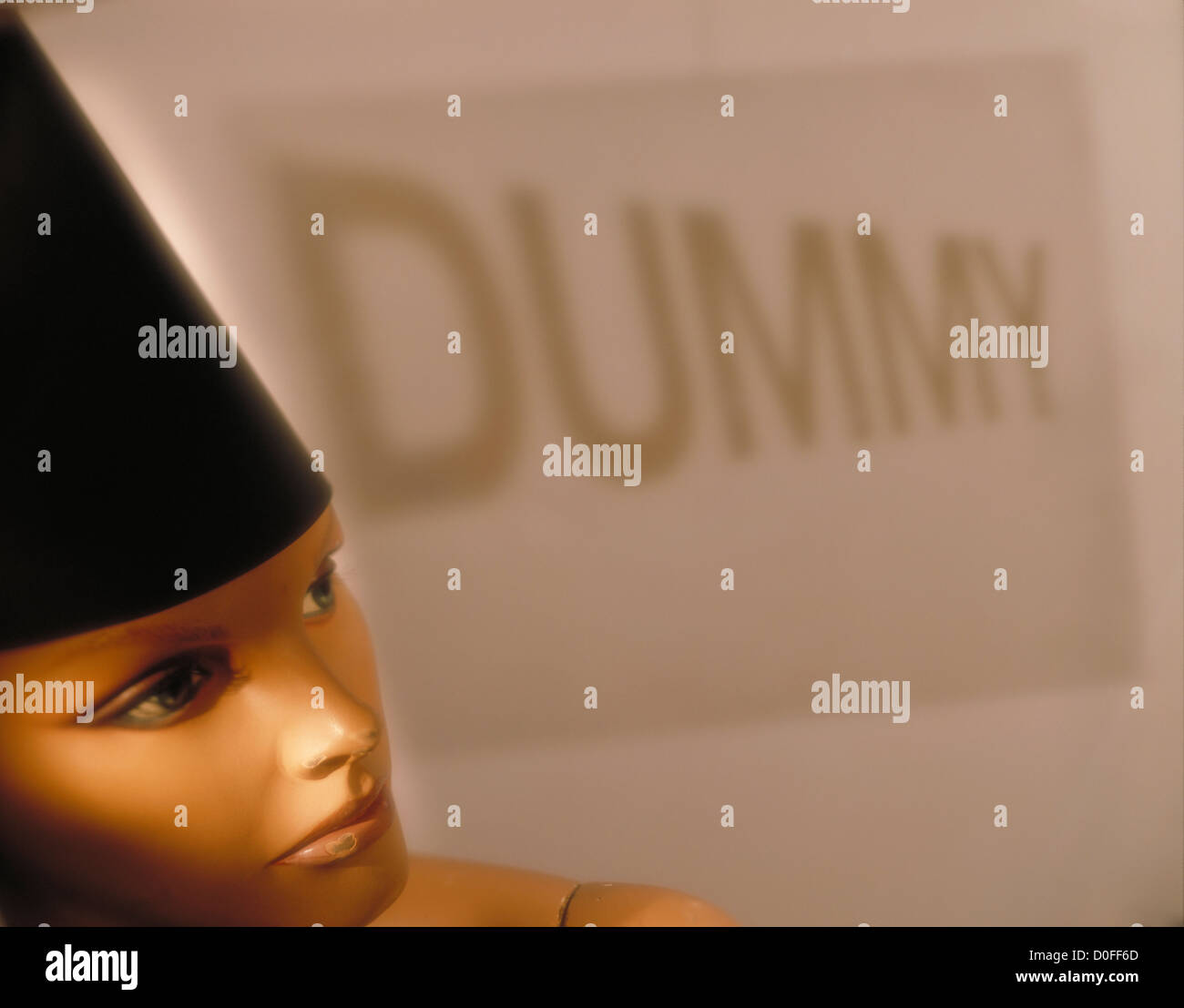 a mannequin wears a dunce cap with dummy sign in the background. ©mak ...