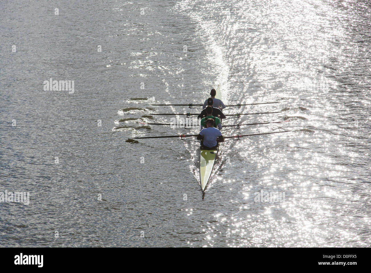 Men's coxless quad sculls, rowing on a sunlit river in the Head of the ...