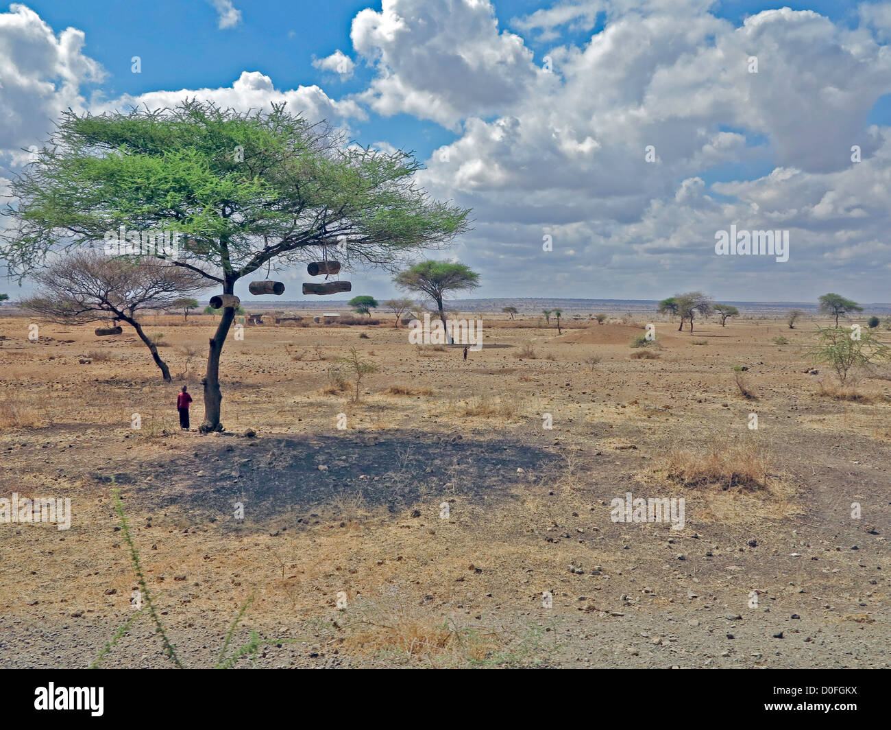 Beehive Africa Stock Photos & Beehive Africa Stock Images - Alamy