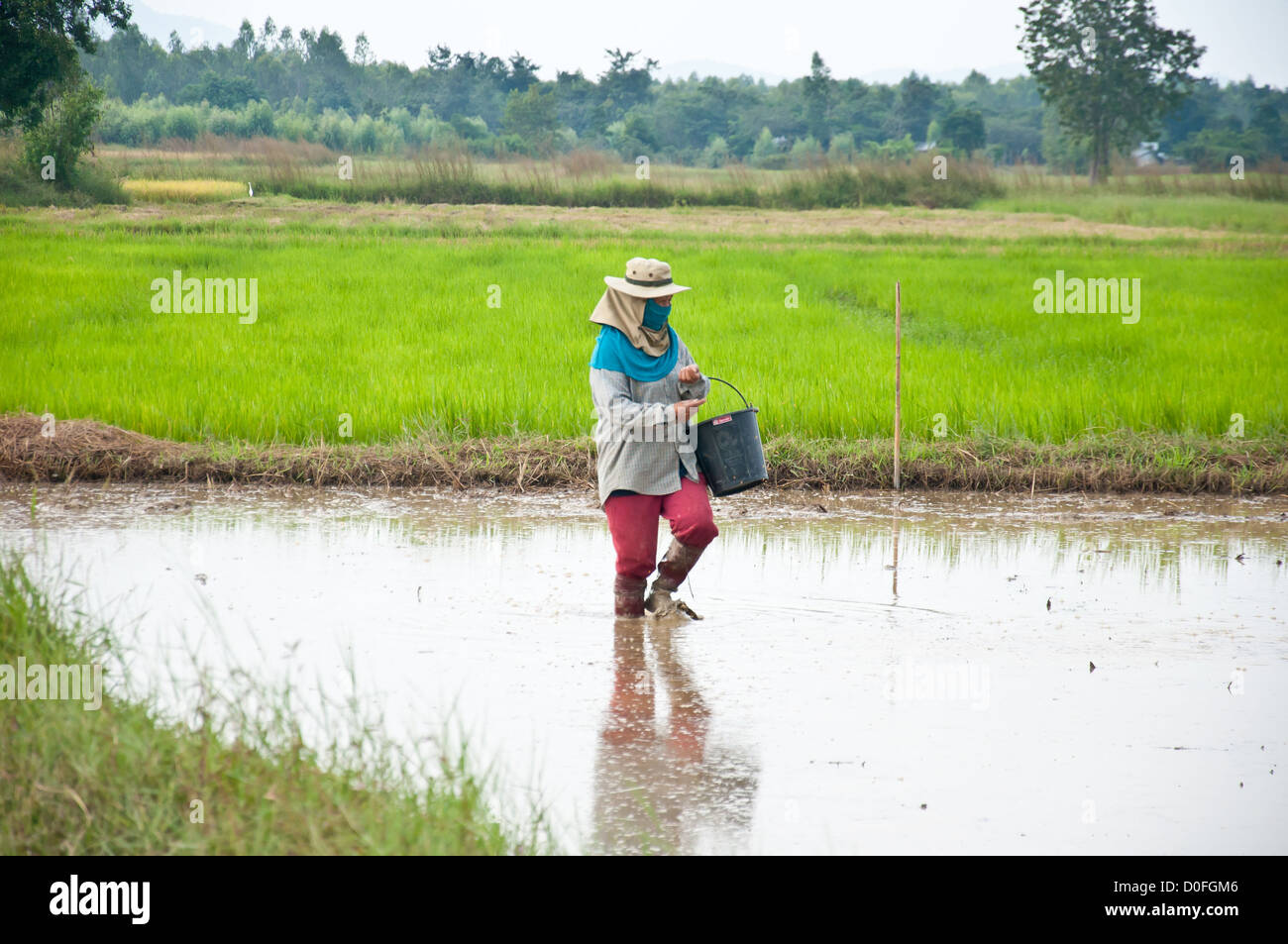 farmer working in the field Stock Photo - Alamy