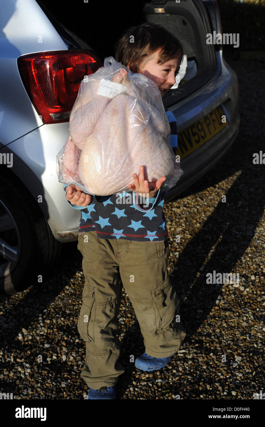 Plucked turkey hi-res stock photography and images - Alamy