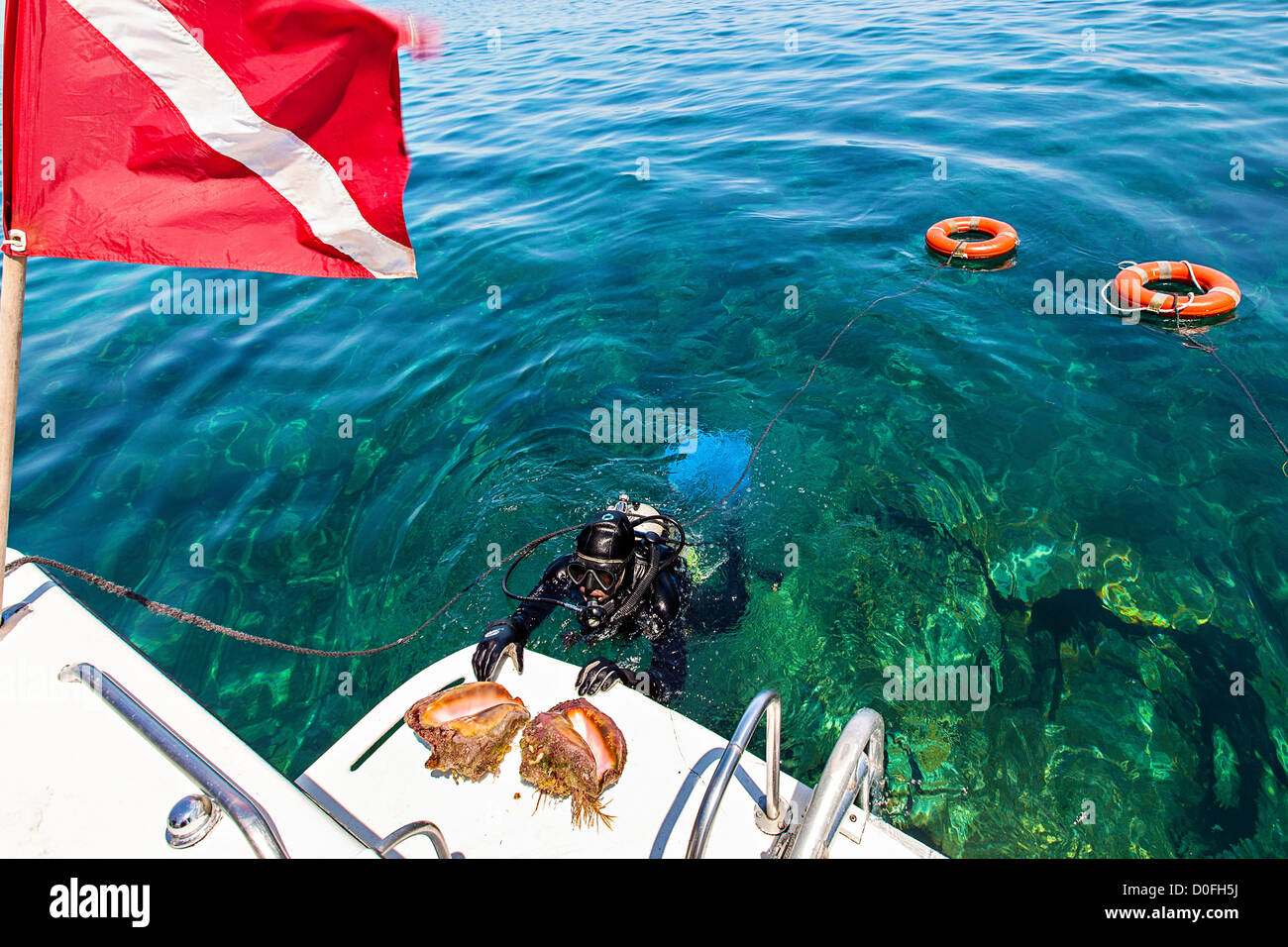 A SCUBA diver emerges from the water in the Sea of Abaco off Green ...