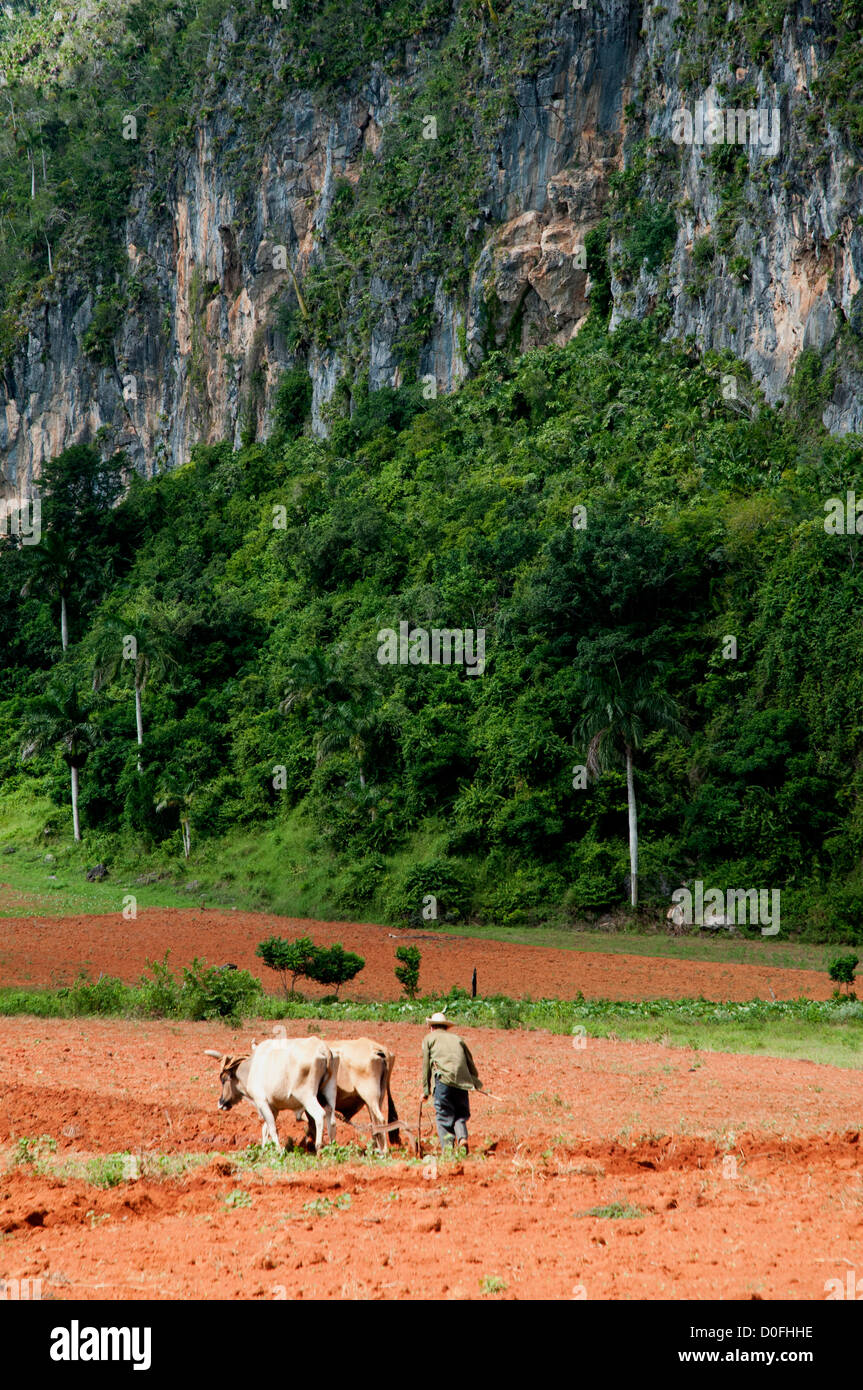 A farmer working the land Stock Photo - Alamy