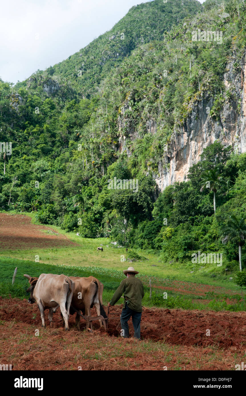 A man working the land Stock Photo - Alamy