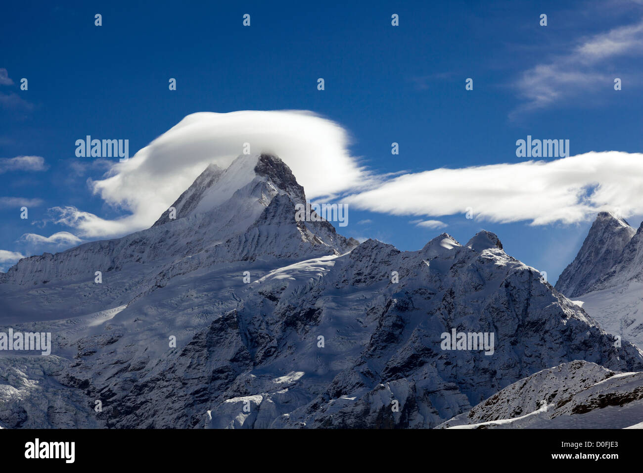 Schreckhorn, seen from Bachalpsee Stock Photo - Alamy