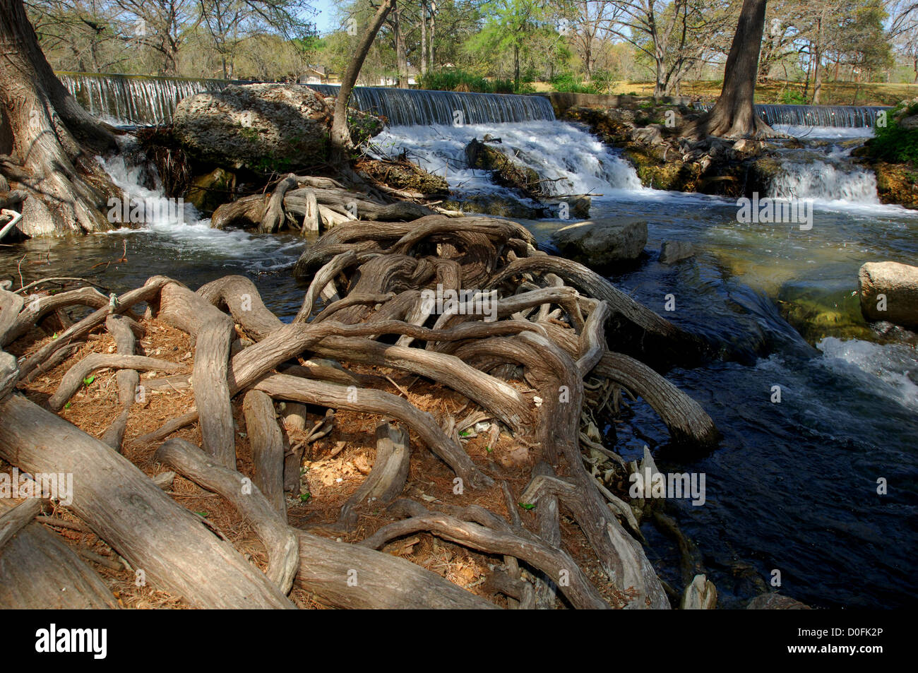 A Hill Country stream lined with Cypress near Hunt Texas Stock Photo ...