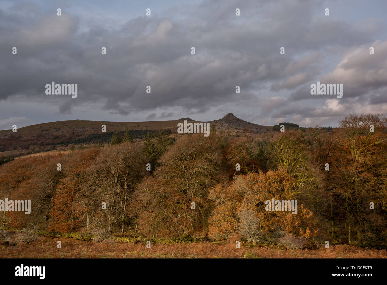 Burrator Reservoir On Dartmoor National Stock Photos & Burrator ...