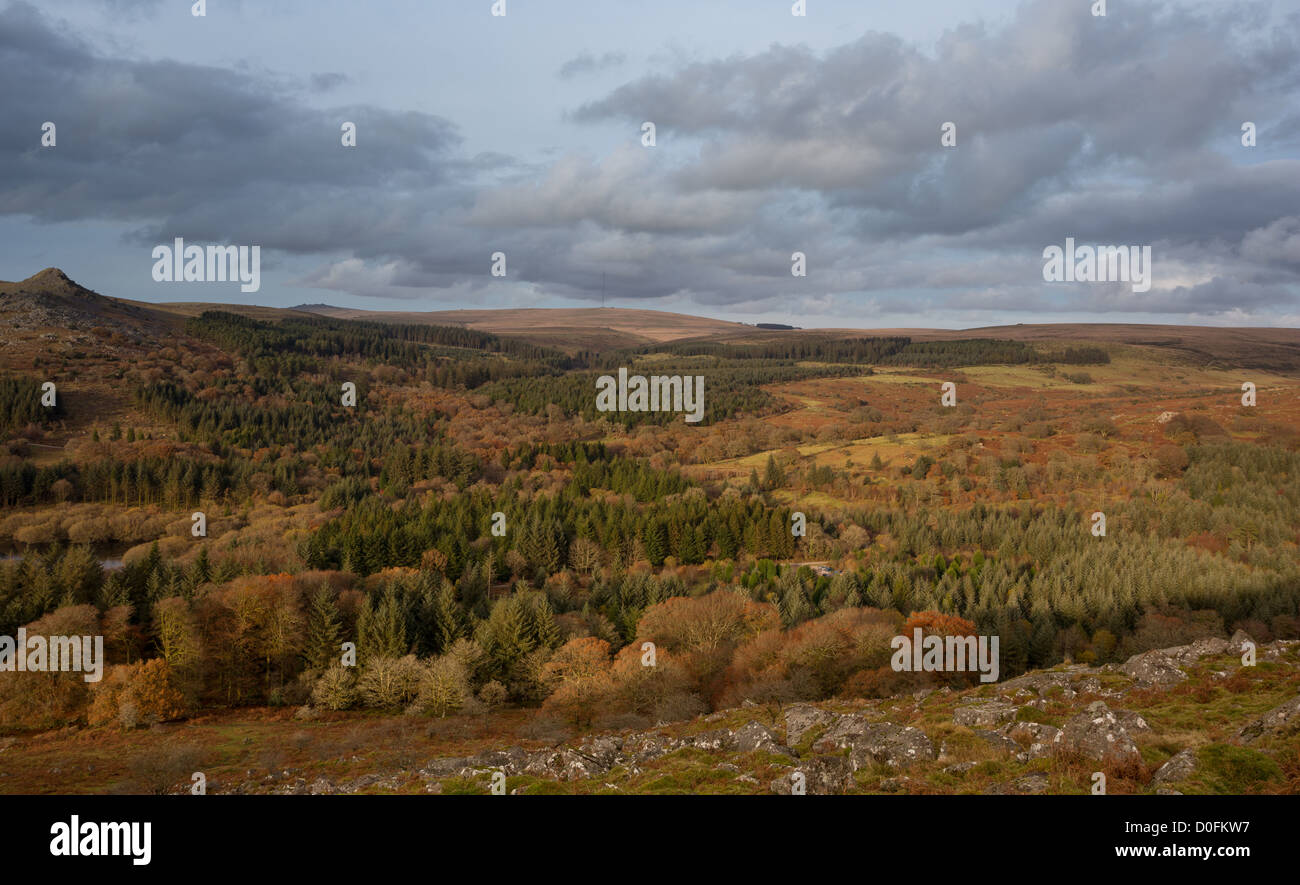View from Sheepstor overlooking the woodland surrounding Burrator ...