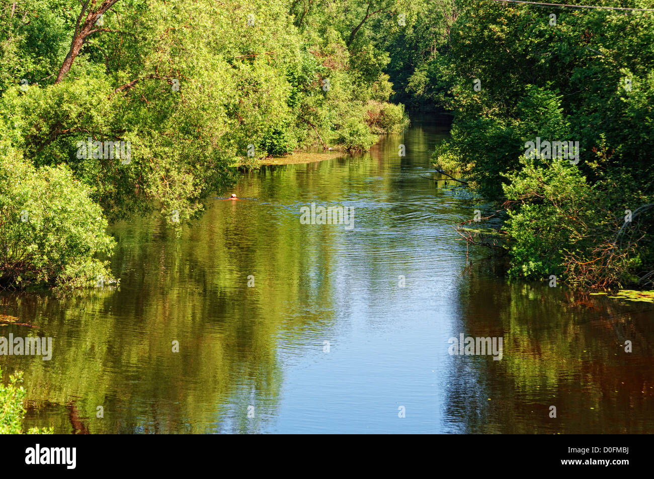 River Alol in july month Stock Photo - Alamy
