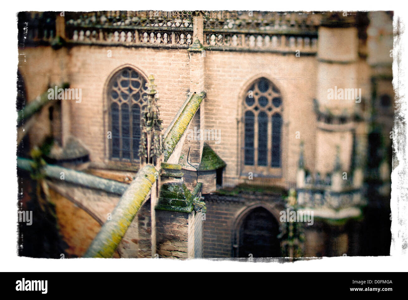 Aerial view of the Cathedral of Seville from the top of the Giralda ...
