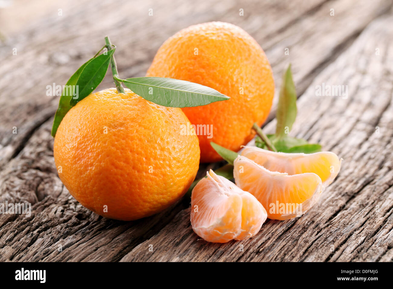 Harvest of tangerines hi-res stock photography and images - Alamy