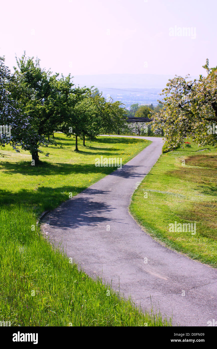 Green meadow in country side in Switzerland Stock Photo - Alamy