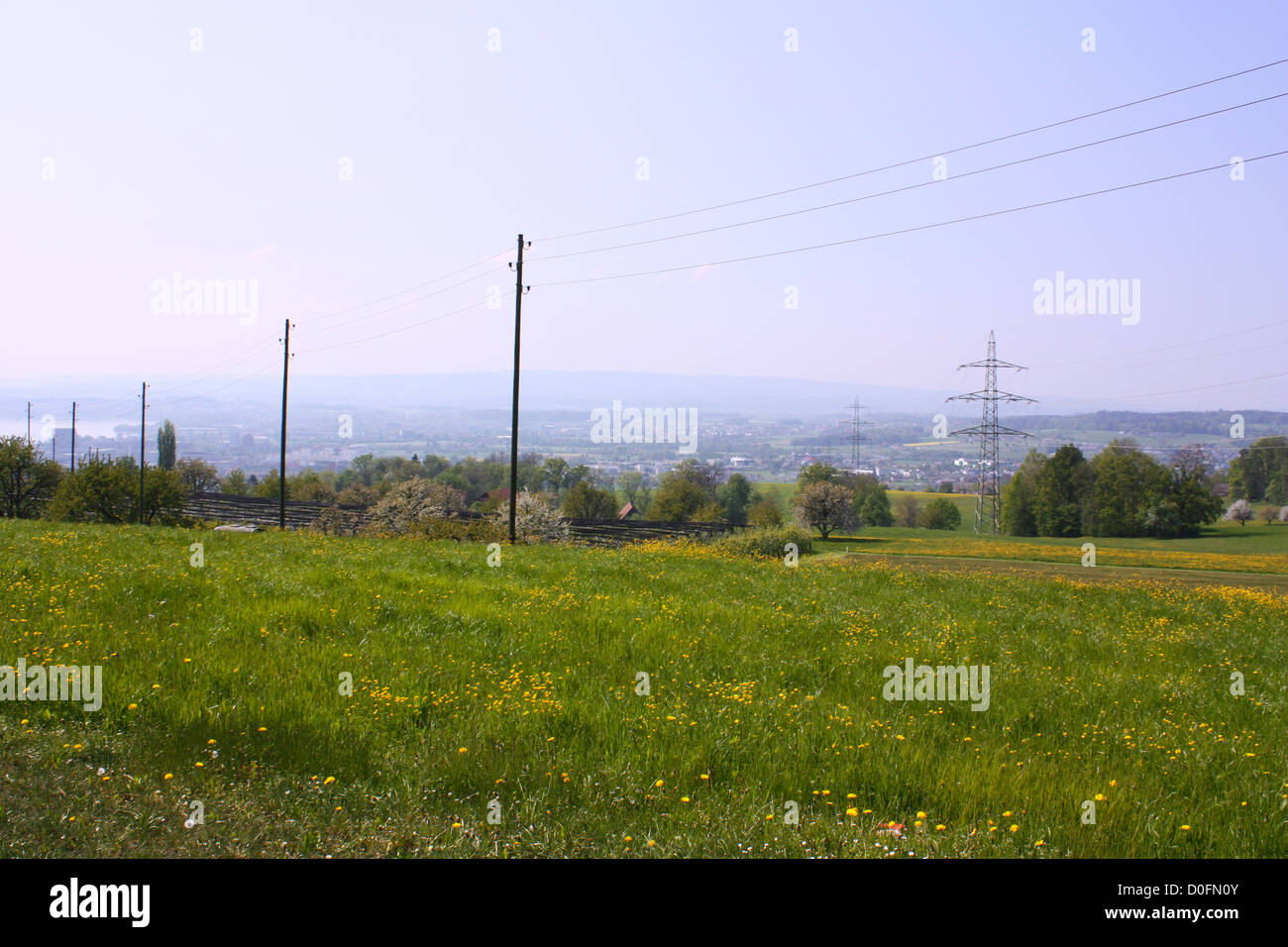 Power lines in green meadow in Switzerland Stock Photo - Alamy