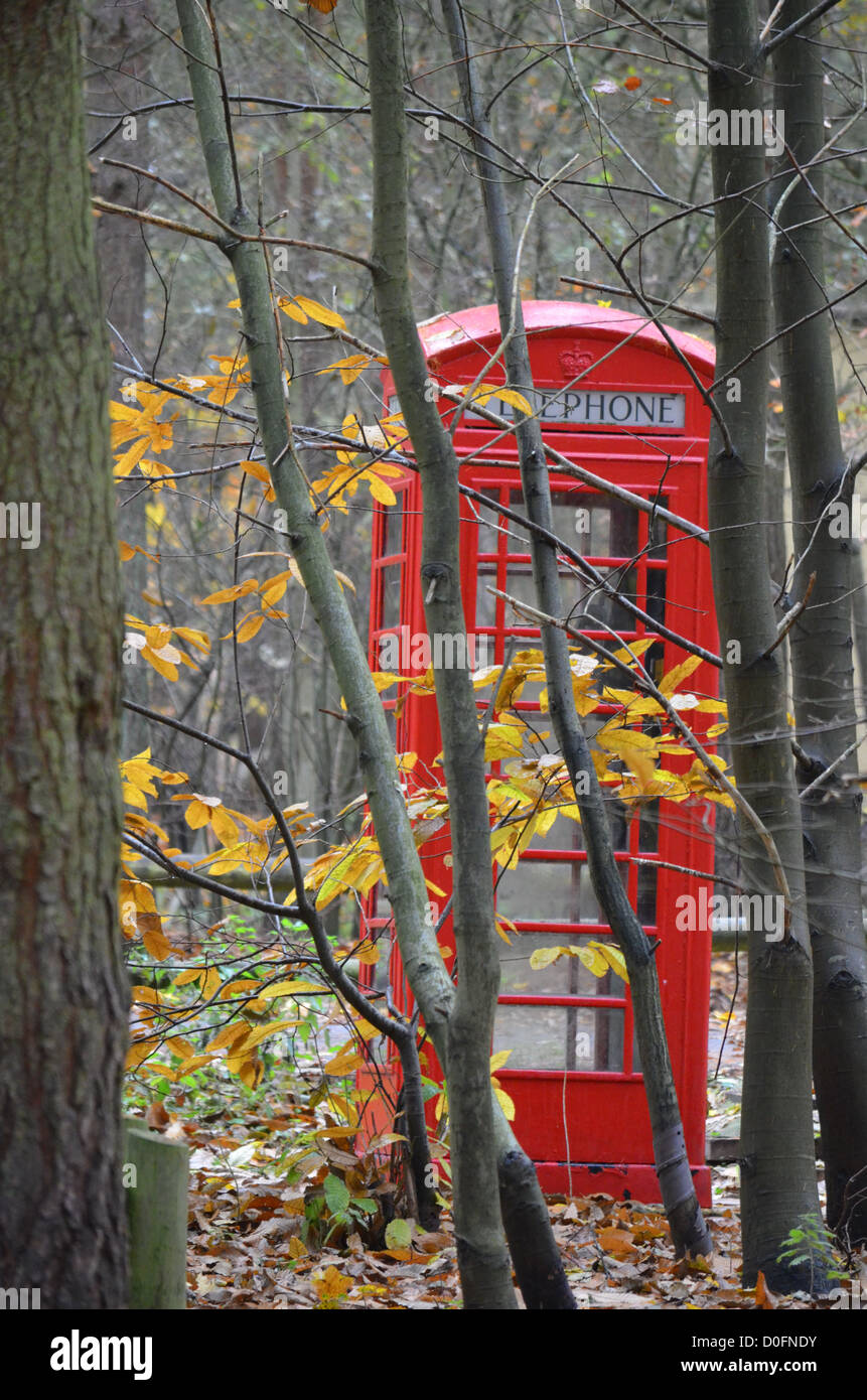 Phone Box in the woods Stock Photo - Alamy