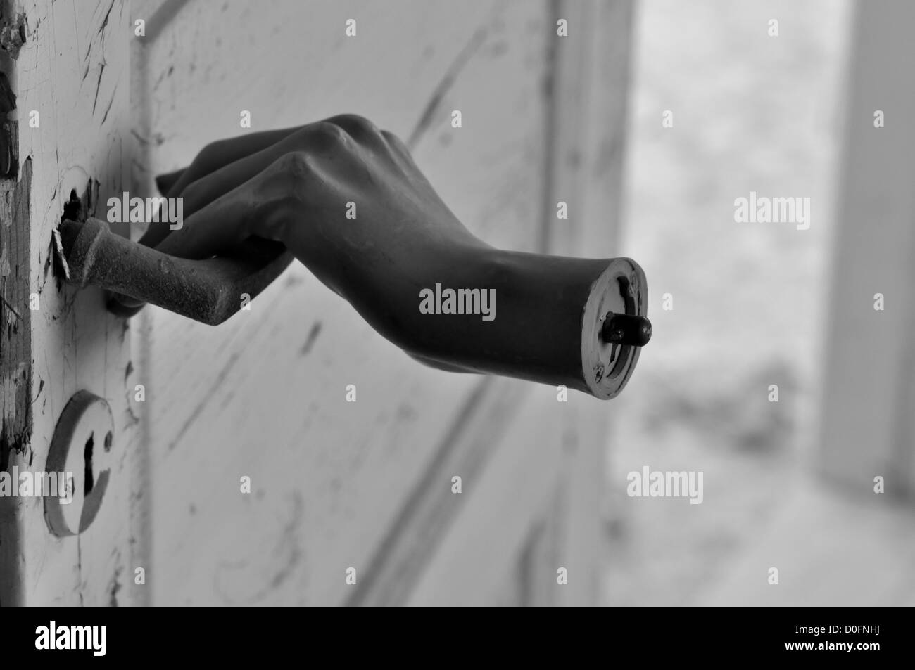 Severed hand High Resolution Stock Photography and Images - Alamy