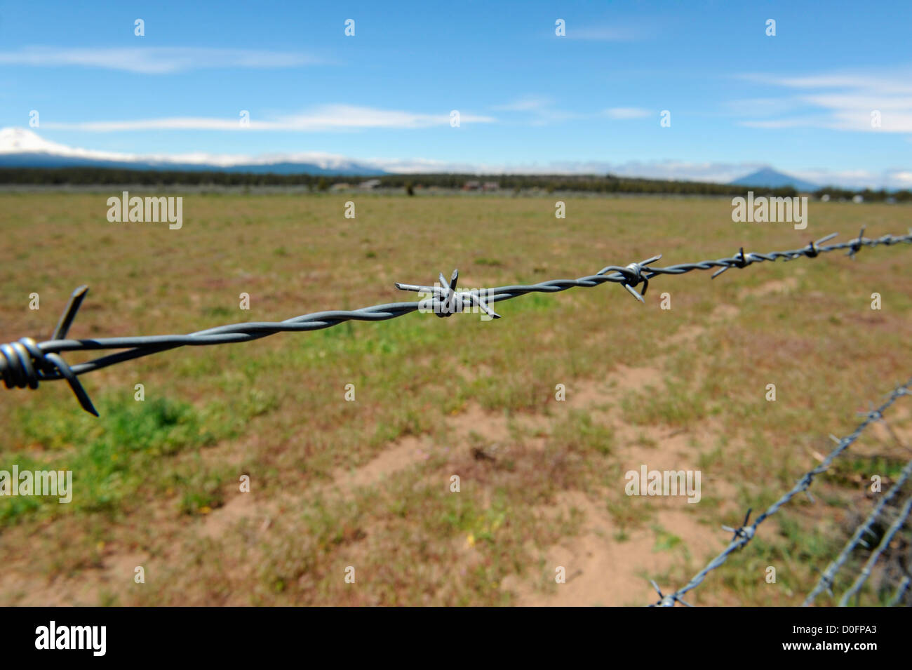 Fence barbed wire in desert hi-res stock photography and images - Alamy