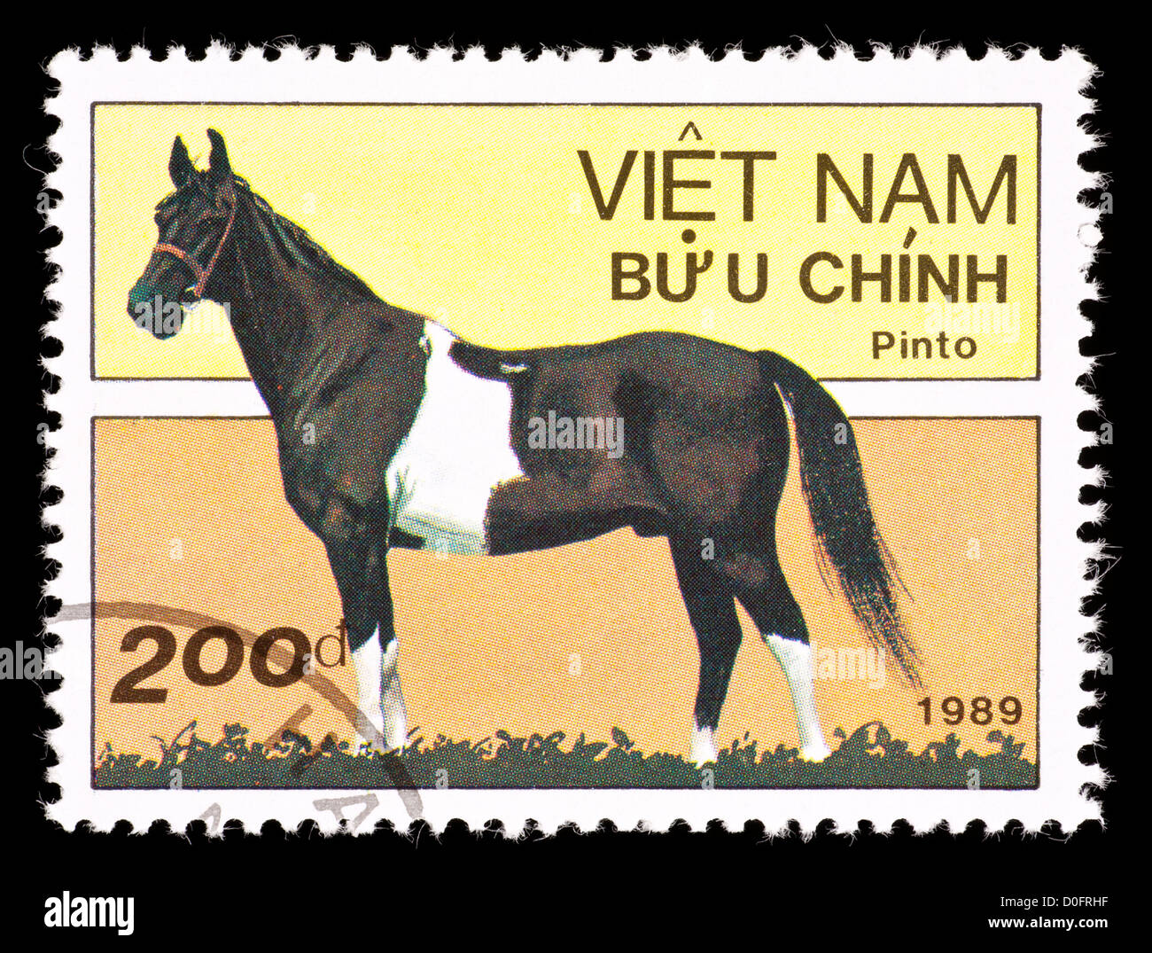Postage stamp from Vietnam depicting a pinto (horse breed Stock Photo ...