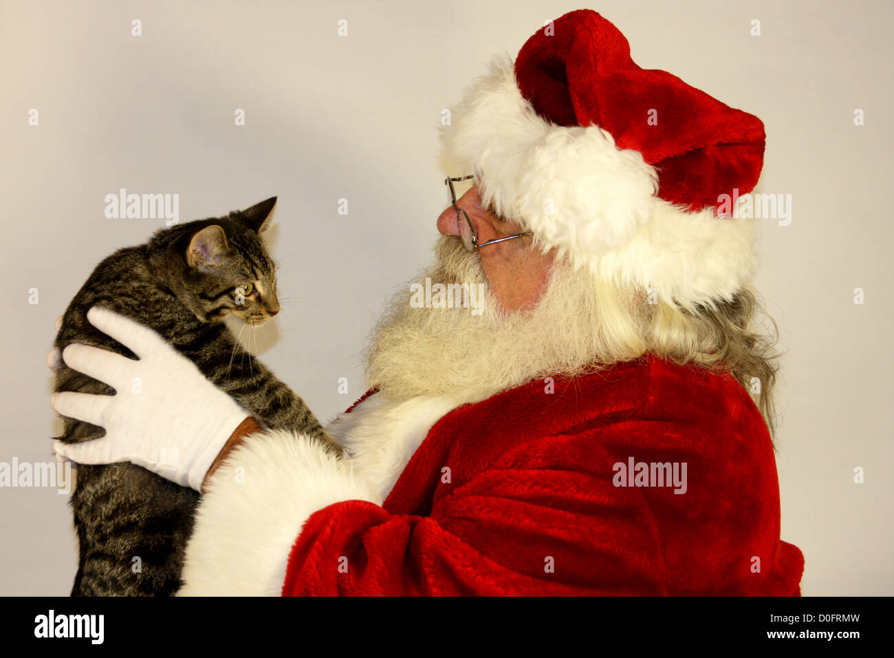 Santa Claus holding a kitten Stock Photo - Alamy