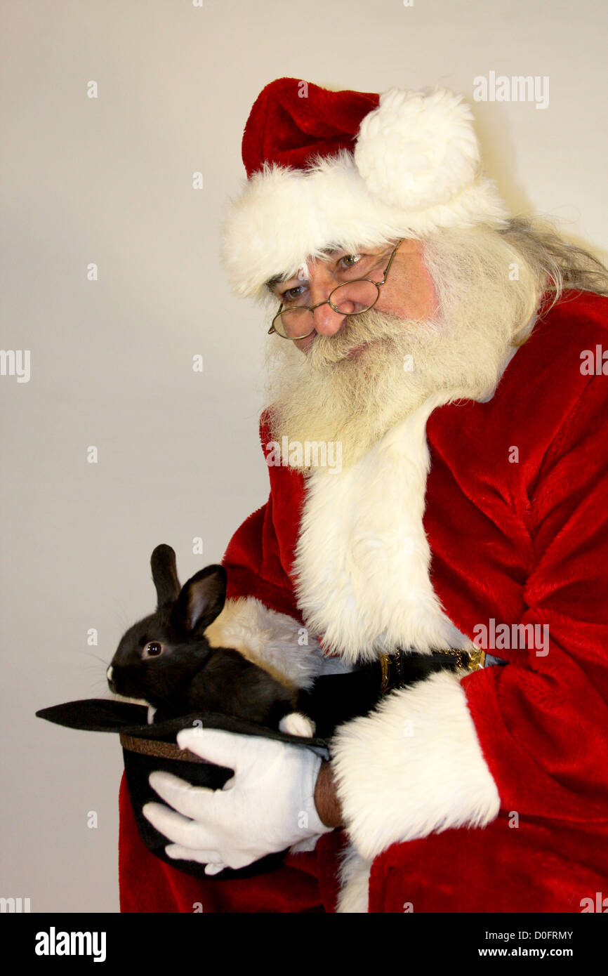 Santa Claus holding a black bunny rabbit in a cowboy hat Stock Photo ...