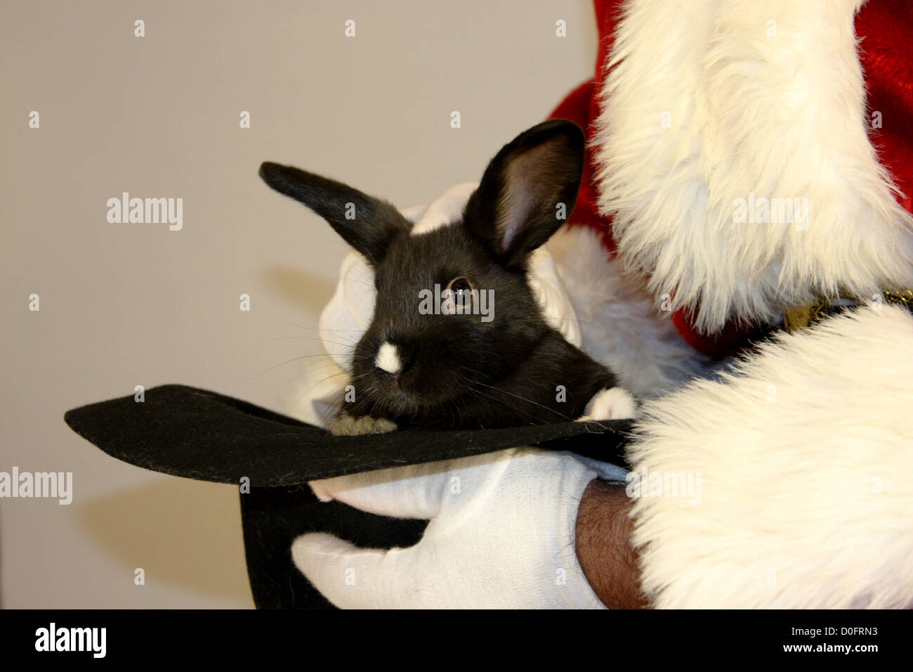 Old black man giving food High Resolution Stock Photography and Images ...