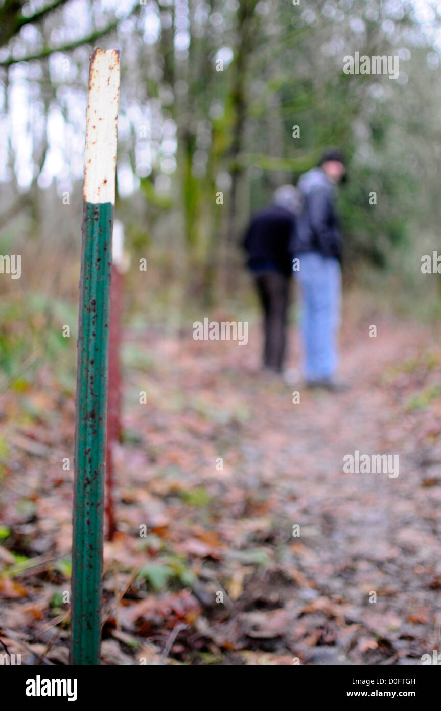 Strolling in a wooded park Stock Photo - Alamy