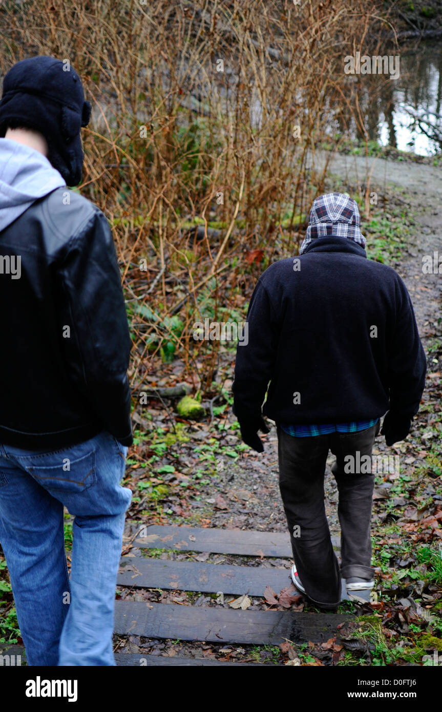 Strolling in a wooded park Stock Photo - Alamy