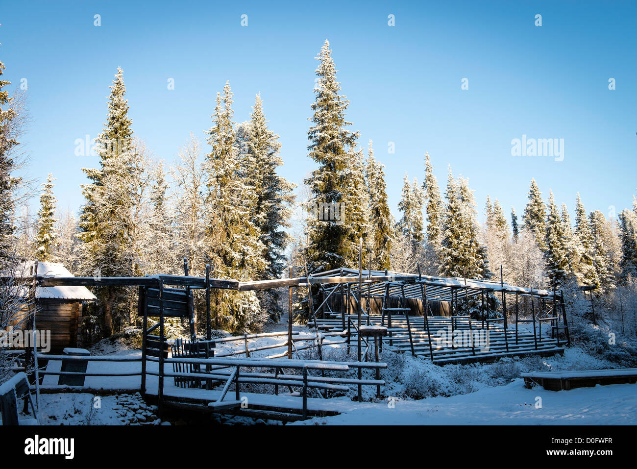 Gold panning in Tankavaara gold area Inari Lapland Finland Scandinavia ...