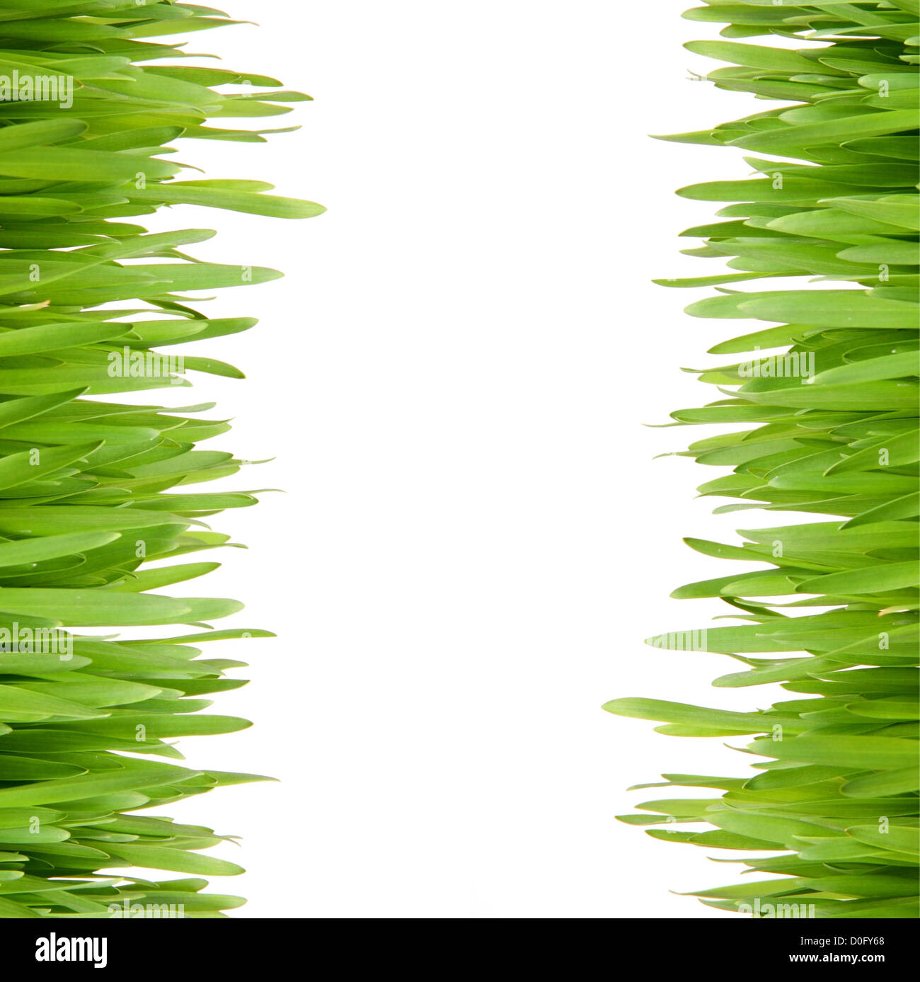 Green grass on background with space for text Stock Photo - Alamy