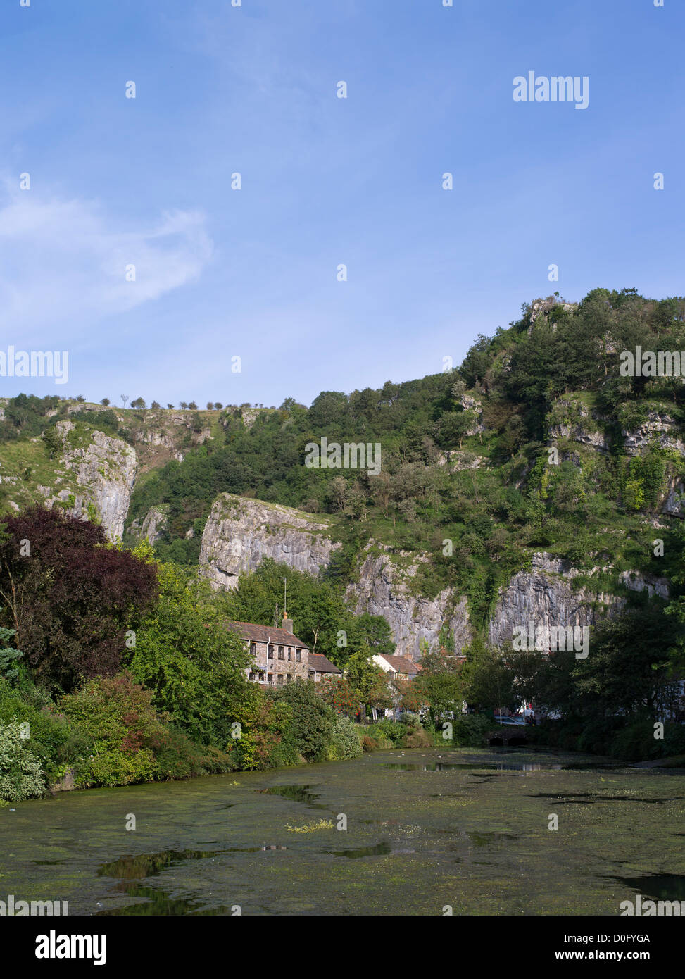 dh Cheddar Gorge CHEDDAR SOMERSET Cheddar Yeo River village millpond ...