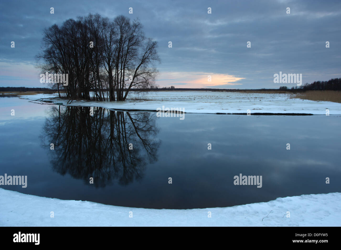 River Emajõgi at Palupõhja, Alam-Pedja Nature Reserve, Estonia Stock ...