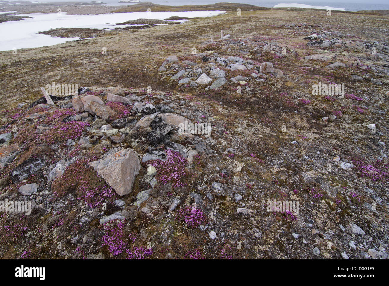 Cultural heritage of graves from russian trappers in Svalbard, Norway ...
