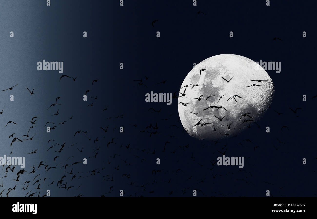 Moon creative hi-res stock photography and images - Alamy