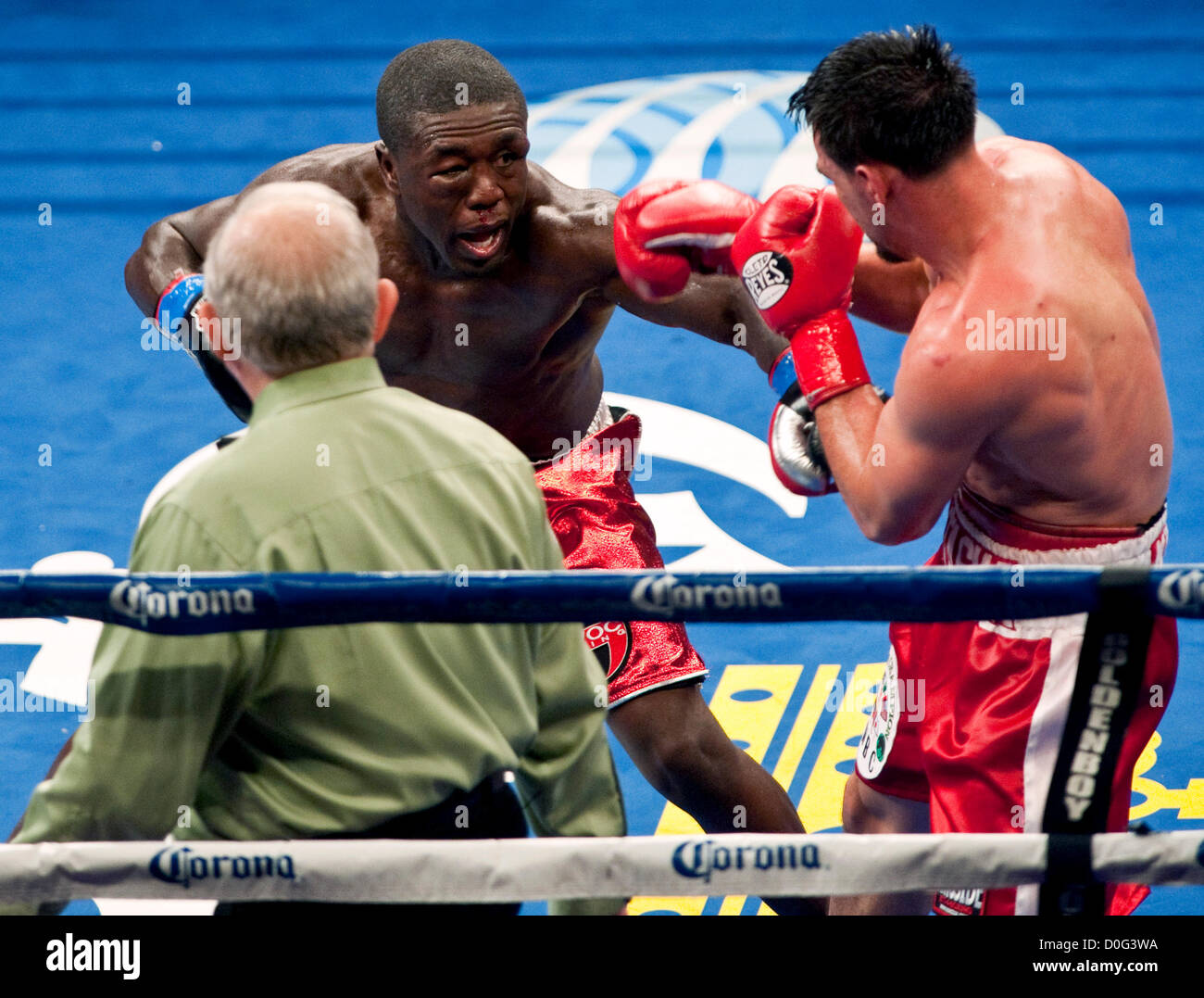 Nov. 24, 2012 - Ontario, California, U.S. - Action during the fight ...