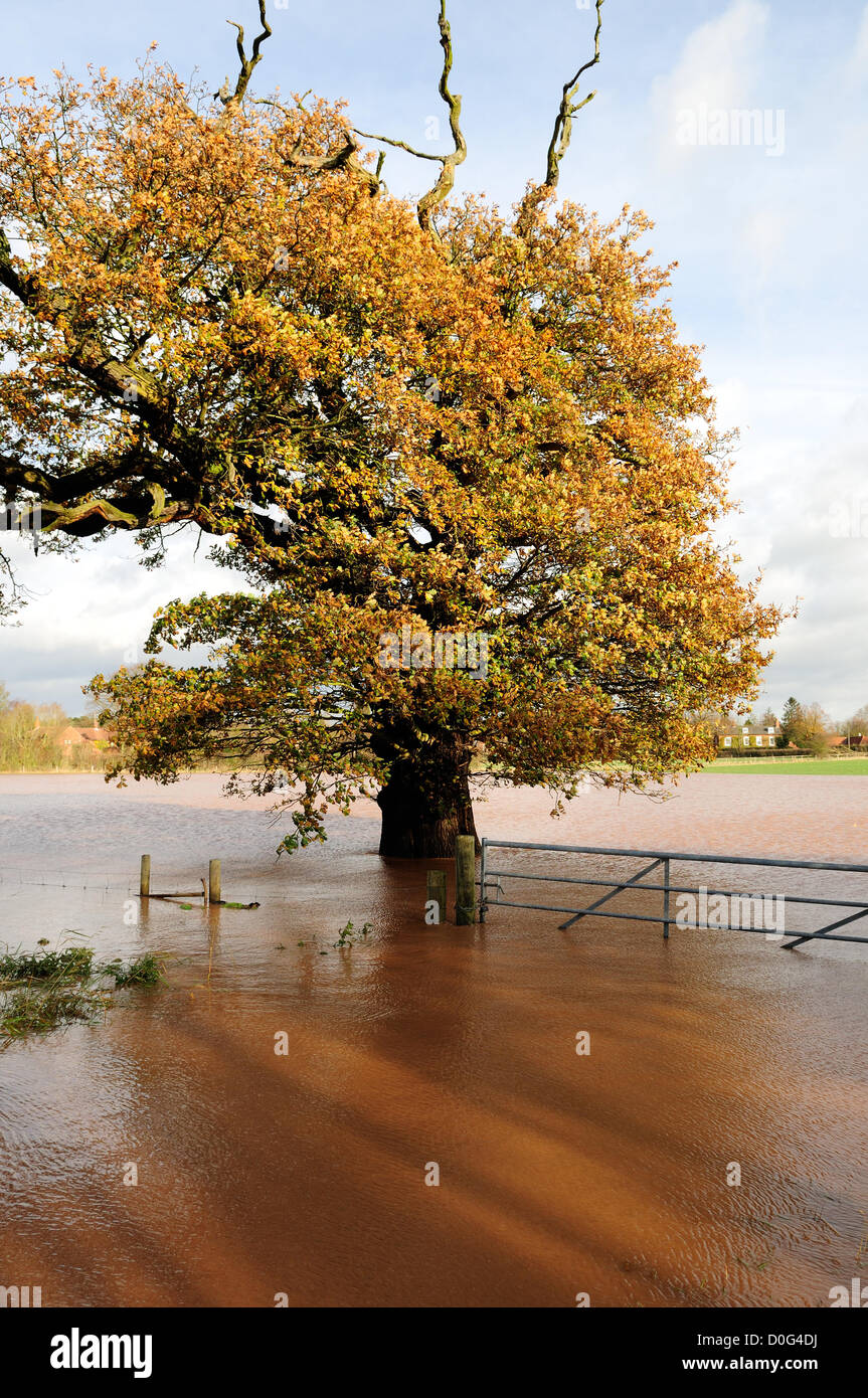 Flooded Farmland Nottinghamshire 2012 Stock Photo - Alamy