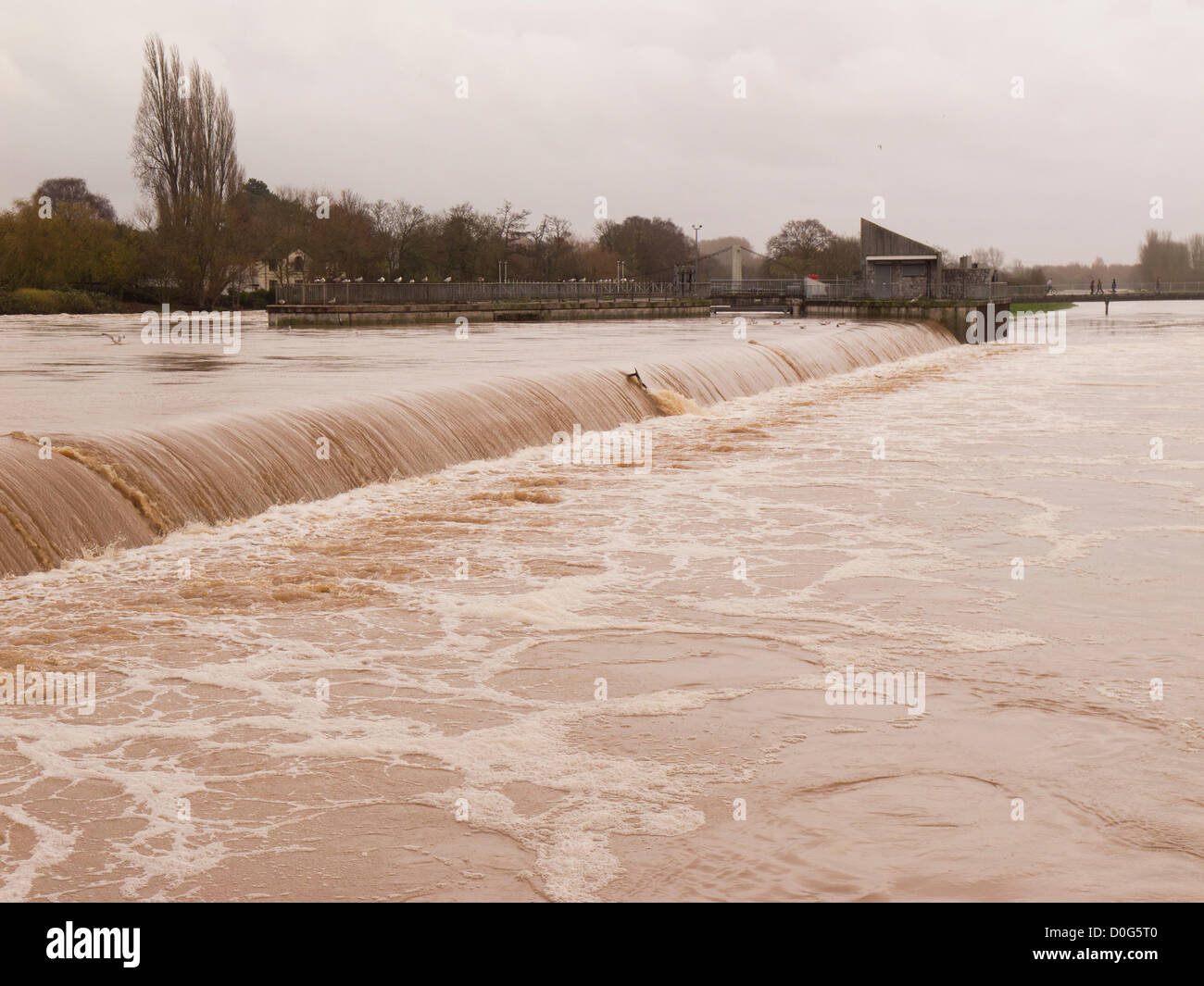 25th November 2012 Trews Weir on the River Exe pouring water into the ...