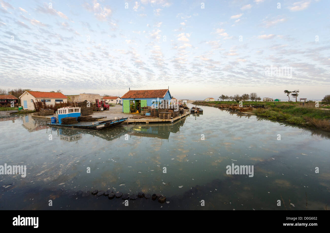 Oyster farming oyster barge hi-res stock photography and images - Alamy