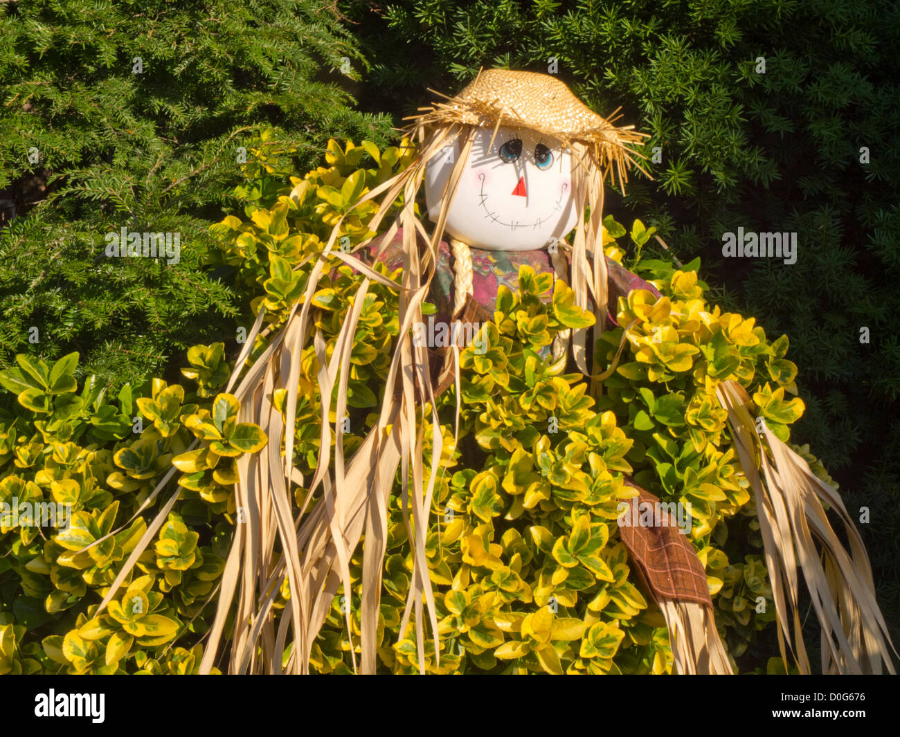 Old scarecrow hi-res stock photography and images - Alamy