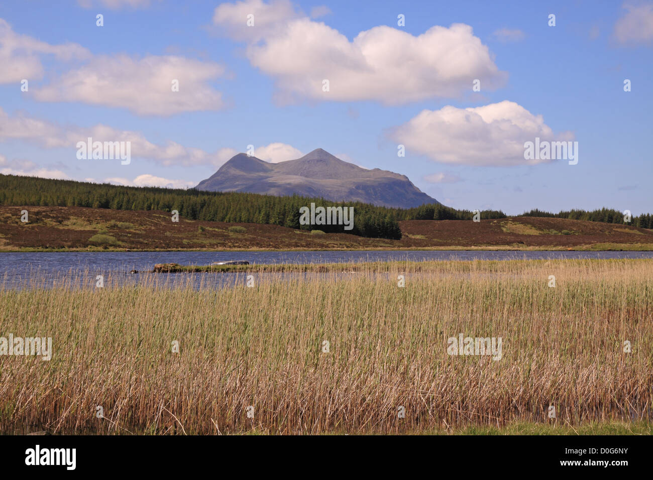 UK Scotland Highland mountain of Canisp and Loch Borralin Stock Photo ...