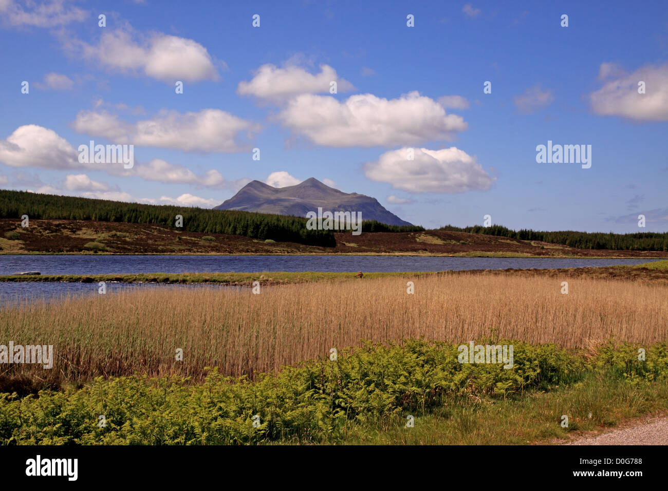 UK Scotland Highland Sutherland mountain of Canisp and Loch Borralin ...
