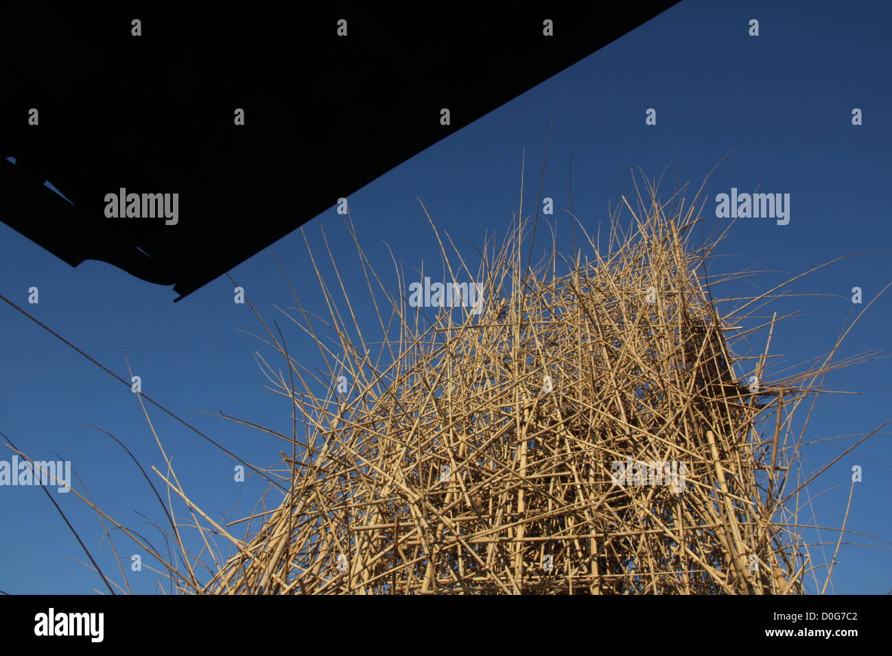 25 Nov 2012 Big Bambu Art Installation by Mike and Doug Starn at MACRO ...