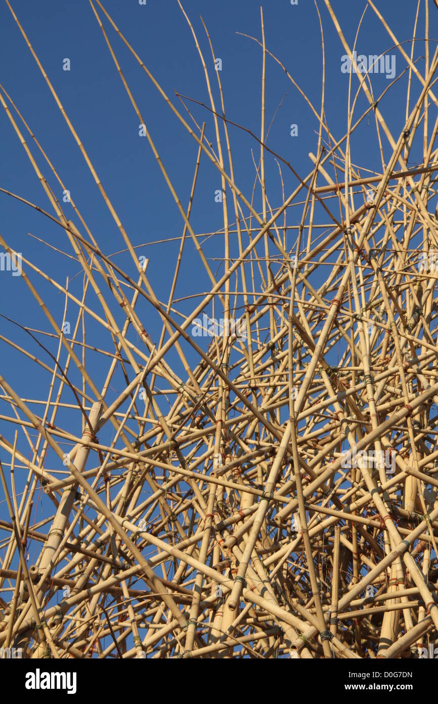 25 Nov 2012 Big Bambu Art Installation by Mike and Doug Starn at MACRO ...